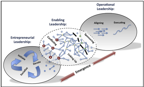 Complexity Leadership - 3nd.nl